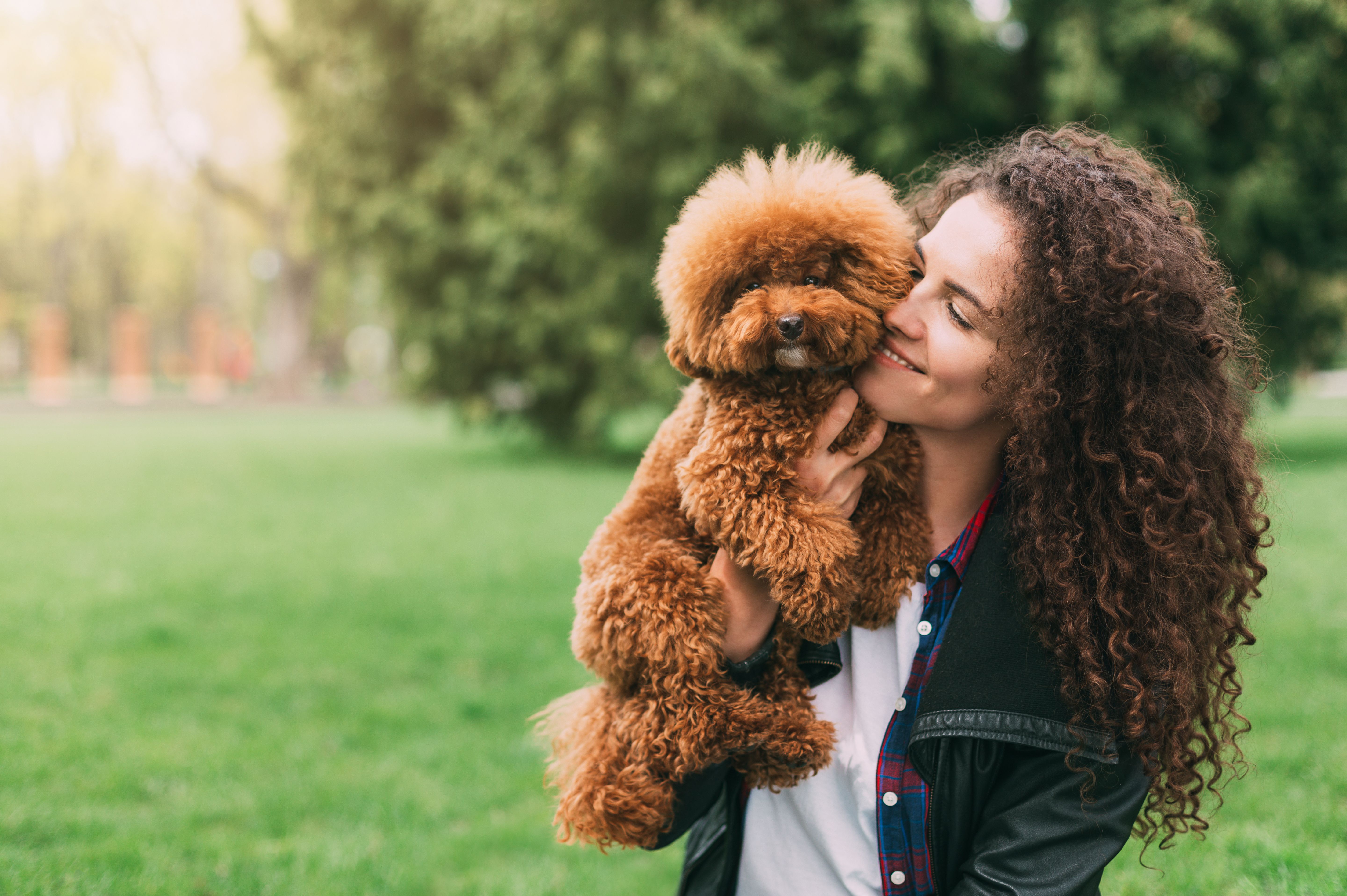 House sitter Tips For A Successful Application